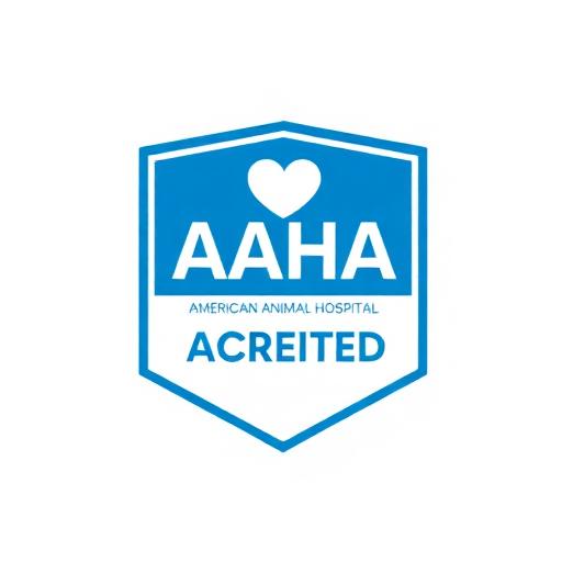 Pets and Vets - Veterinary Care in Miami