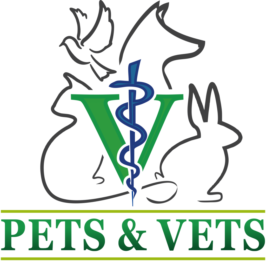 About Our Veterinarian Clinic in Miami Beach, FL | Pets and Vets Animal ...